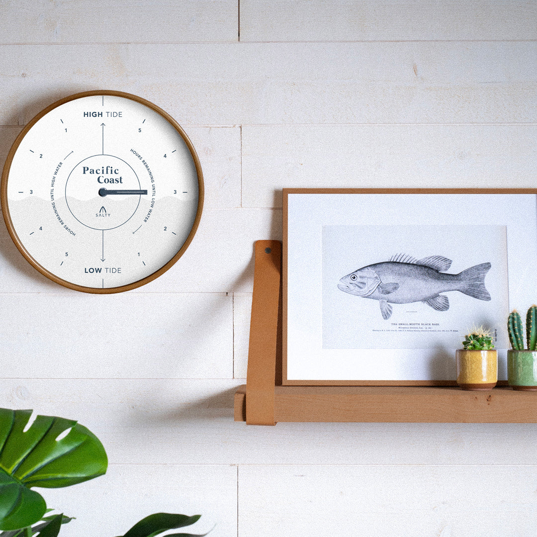 pacific coast standard time